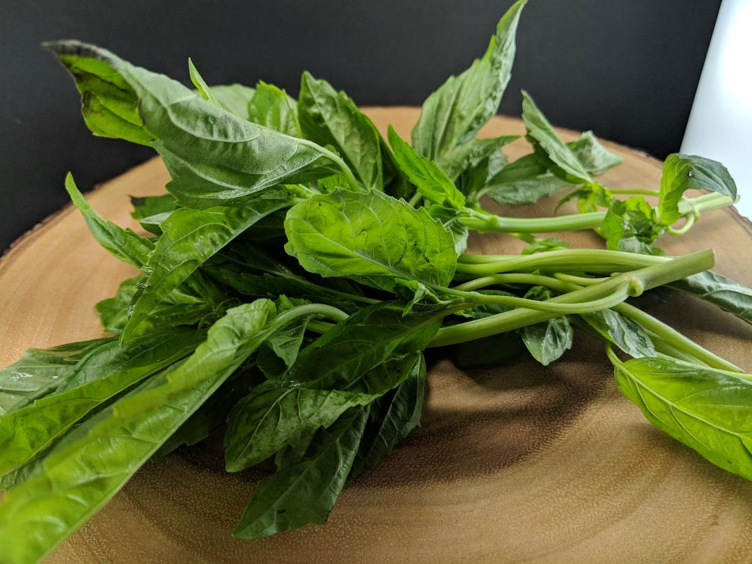 Reviving Fresh Basil – Afoodieaffair